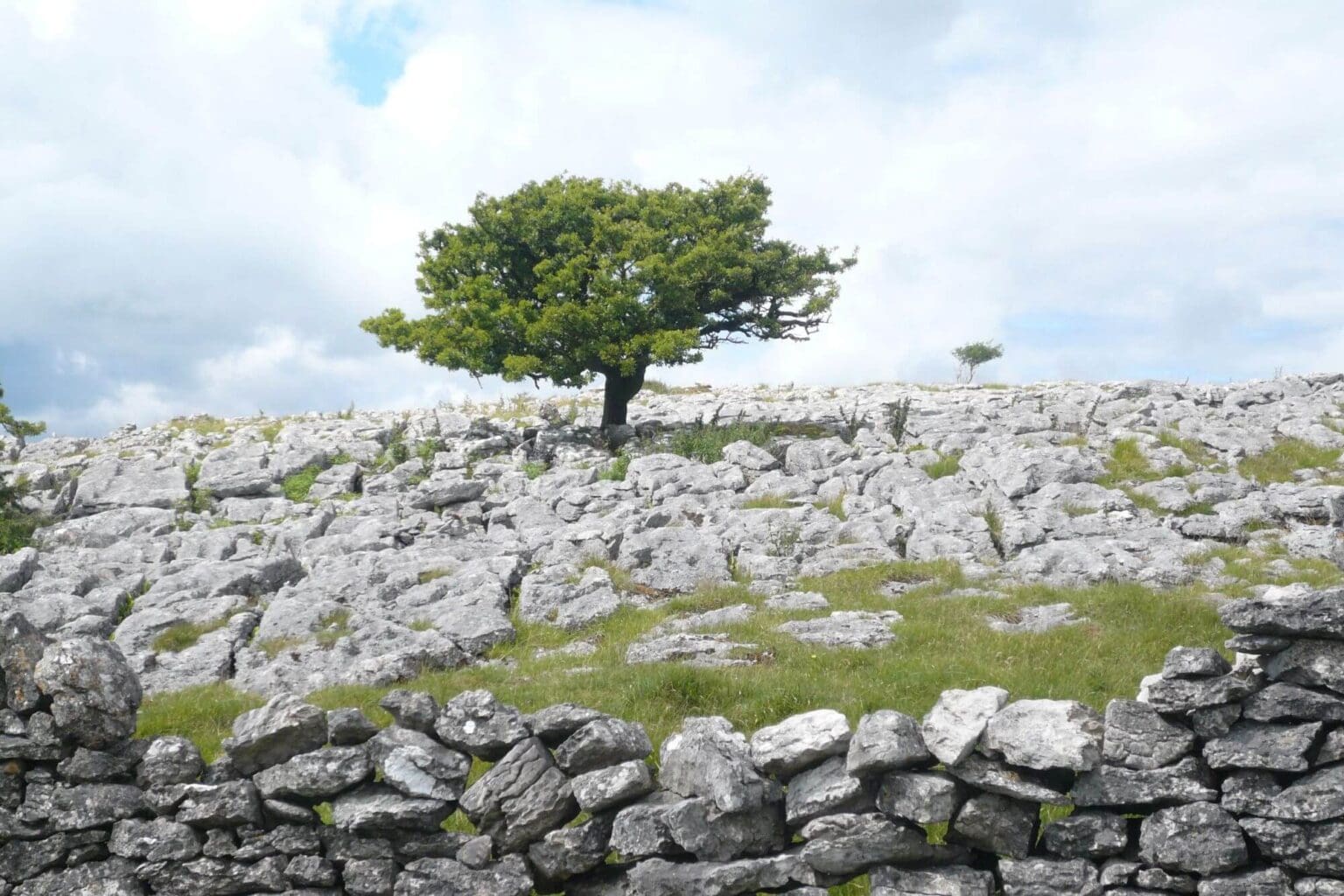 Little Asby Common - Friends of the Lake District