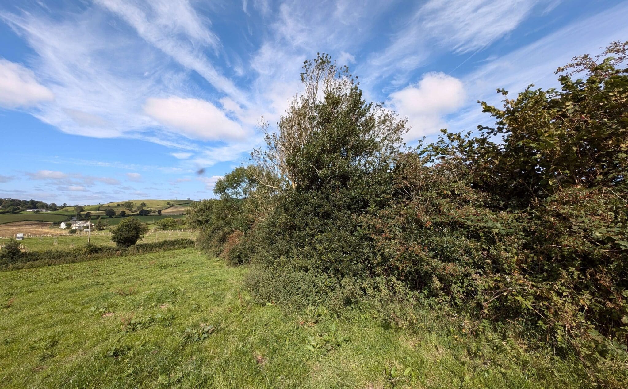 Hedges and Edges - Friends of the Lake District